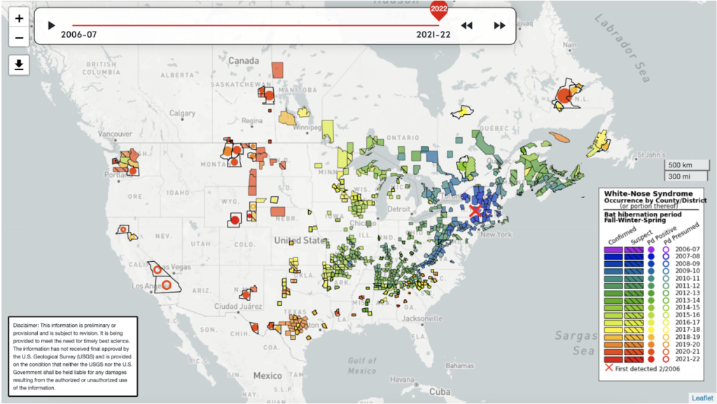 The White-nose Syndrome Epidemic – Bethesda Green