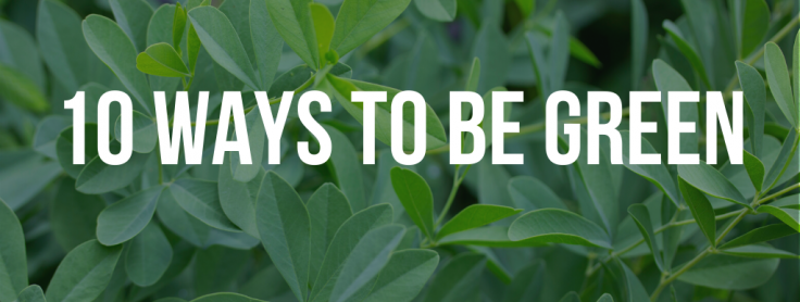 10 Ways to be Green – Bethesda Green